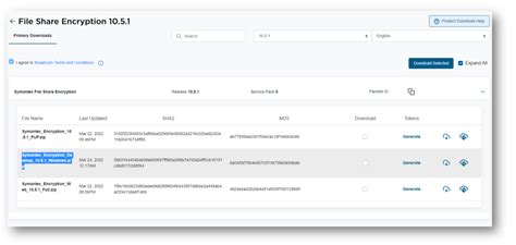 The Download Of The Standalone Client From The Download Portal Symantec The Download Of The Standalone Client From The Download Portal Symantec