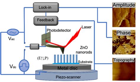 Nanostructured Zinc Oxide Fabrication Characterization And