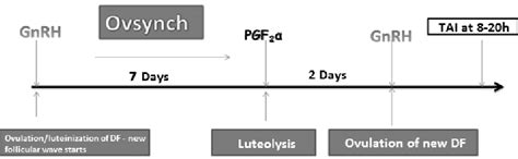 Ovsynch Protocol Gpg Method For Hormonal Manipulation Of Estrous Download Scientific Diagram