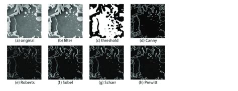 Preprocessing Steps Applied To The Microstructural Image A Randomly Download Scientific