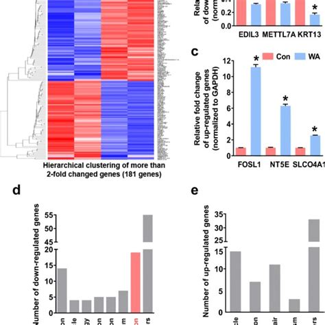 Microarray Based Expression Profiling Of Genes Associated With