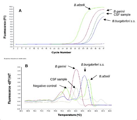 Amplification Curves A And Melting Curve Analysis B Of B Download Scientific Diagram