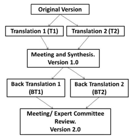 Translation And Adaptation Process Download Scientific Diagram