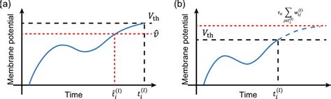 Derivation Of The Two SSR Methods A M SSR Is Derived From The Download Scientific Diagram