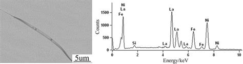 Morphology And Energy Spectrum Analysis Of Intermetallic Compounds At Download Scientific