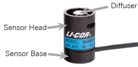 Li 190r And Li 191r Quantum Sensor Care And Maintenance