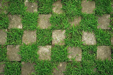 Premium Photo Lawn Strip Chess Grass Cobblestone Backgrounds