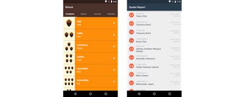Developing Mobile Apps With The Android Basics Nanodegree