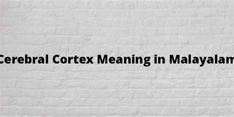 Cerebral Cortex Meaning In Malayalam മലയാളം അർത്ഥം