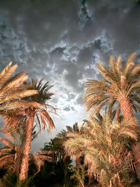 Mohammed Benslimane Fotografie