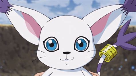 File Tailmon 2020 Anime Png Wikimon The 1 Digimon Wiki