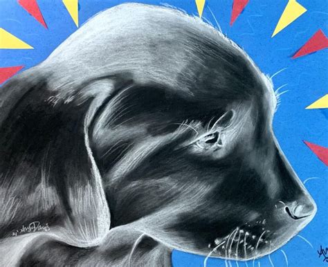 The Illustrator Oval Man