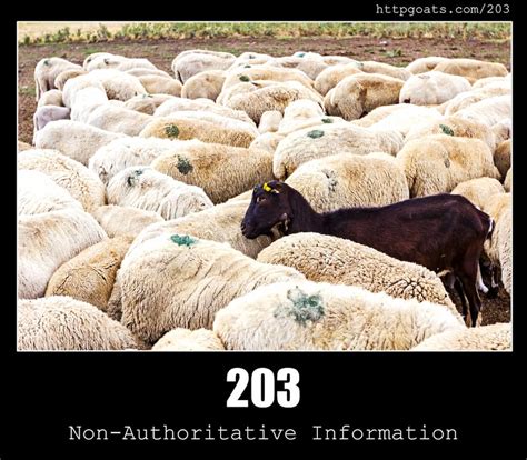 203 Non Authoritative Information Status Code And Goats