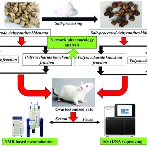 The Schematic Flowchart Of The Combinatory Strategy For Dissecting The Download Scientific