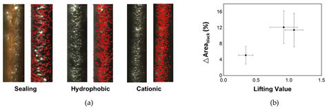 Hair Pores Caused By Surfactants Via The Cell Membrane Complex And A Prevention Strategy Through