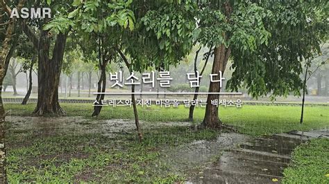 한적한 공원의 빗소리 Asmr 긴장 완화와 마음의 안정을 위한 백색소음 스트레스 해소 이명 완화 집중력 향상 음악 자연의 소리 비멍 Youtube