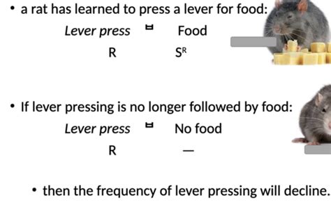 Chapter 8 Extinction And Stimulus Control Flashcards Quizlet