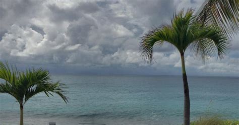 David Bizer - Paris, France | about.me