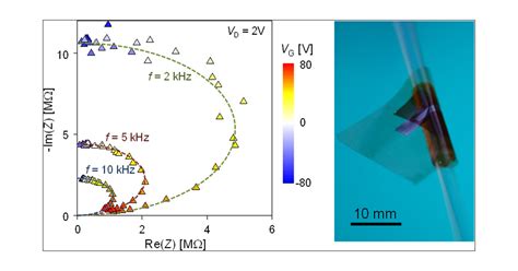 Partially Screened Field Effect And Selective Carrier Injection At