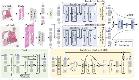 Figure 1 From Mg Trans Multi Scale Graph Transformer With Information Bottleneck For Whole