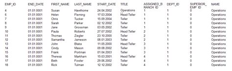 How To Use Stored Procedures In FastReport NET Fast Reports