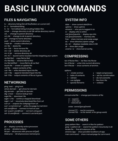 basic linux commands artofit