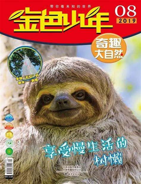 享受慢生活的樹懶 每日頭條 享受慢生活的樹懶 每日頭條