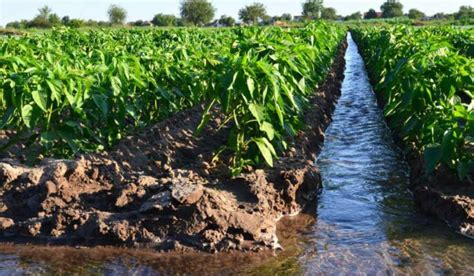 Different Types Of Irrigation Systems Advantages And Disadvantages