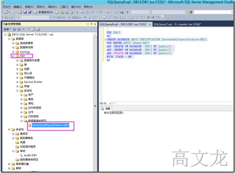 SQL Server 审计功能 记录所有的操作记录 高文龙的技术博客 CTO博客