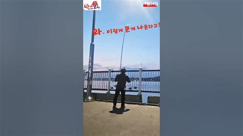 인천 영종도 삼목항에서 낚시하다 대물이 Youtube