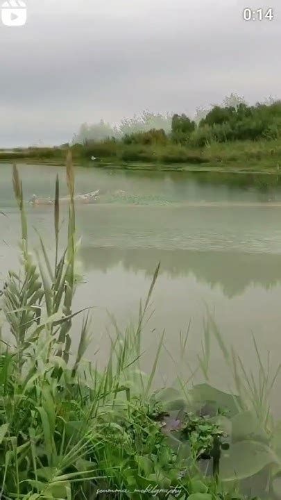 خسروشکیبایی ۲۰۲۴ Love عاشقانه Youtube