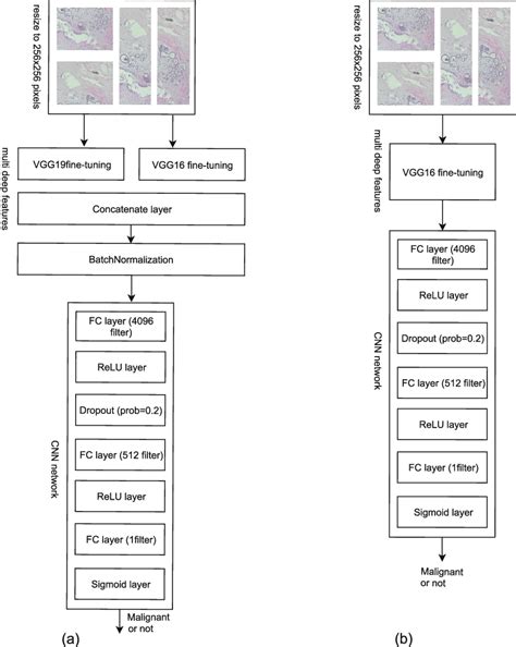 A Fine Tuning Vgg16 And Cnn B Fine Tuning Vgg16 And Vgg19 And Cnn Download Scientific Diagram