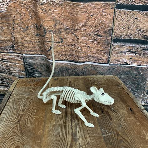 Skeleton Mouse Make A Scene