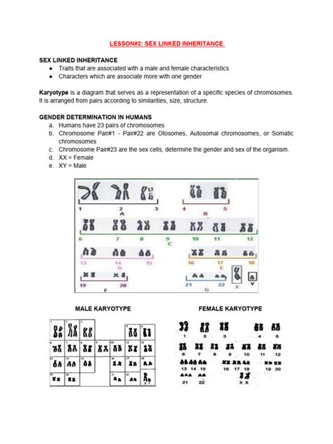 Lesson3 Sex Linked Inheritance Pdf Dominance Genetics Karyotype