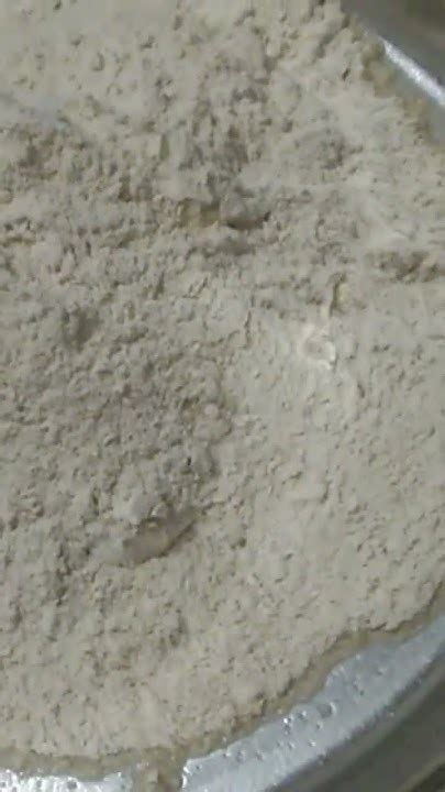 Bhojpuri Song Youtube