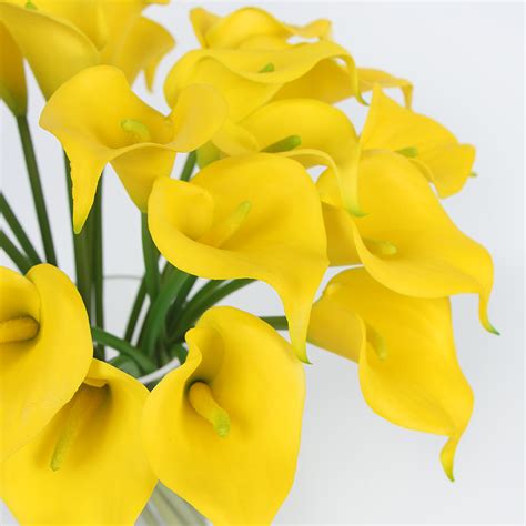 Цэцэгсийн өнгө ба тэдгээрийн утга учир