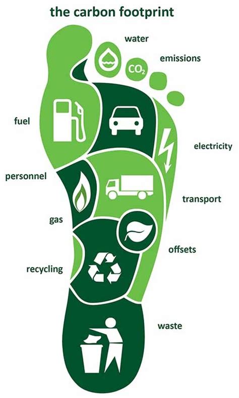 Carbon Footprint Presentation