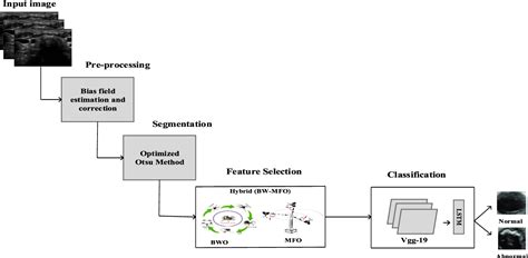 Figure From Thyroid Detection And Classification Using DNN Based On Hybrid Meta Heuristic And