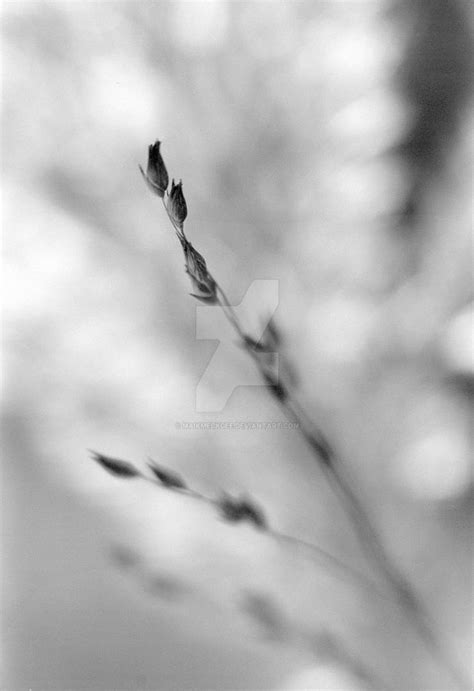 Grass Not Greener By Maikmeckgee On Deviantart