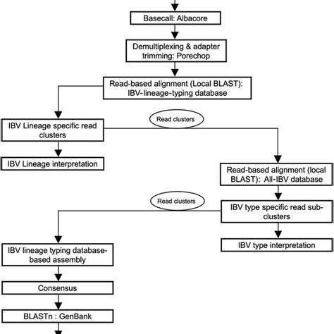 a schematic diagram of the workflow of minion data analysis download