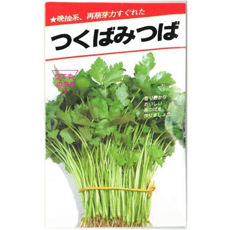 つくば みつば 種子 20ml なえ屋の羽場 通販 Yahooショッピング
