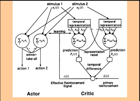 3 2 Actor Critic Model Using A Temporal Representation Of Stimuli