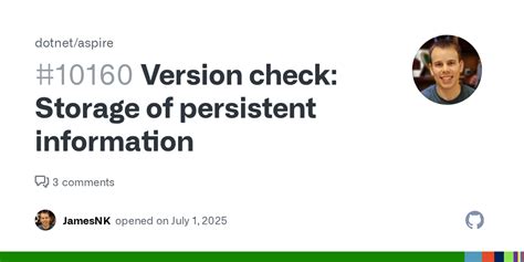 Version Check Storage Of Persistent Information · Issue 10160