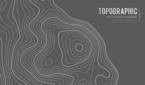 회색 윤곽 벡터 지형 지리적 산 지형 벡터 일러스트레이션 지형 패턴 텍스처 육상 벡터 지형에 매핑합니다 입면 그래픽 윤곽 높이 선입니다 지형지도 높이 추상적인 다각형 토지