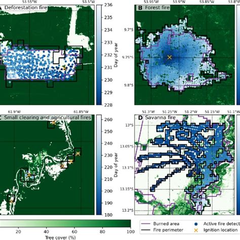 Histogram Of Distributing Indicators Logarithm Frequency Of Forest
