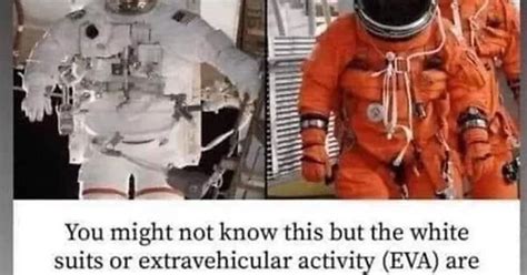 Sunday Dumpy Wumpy Vol 2 Album On Imgur