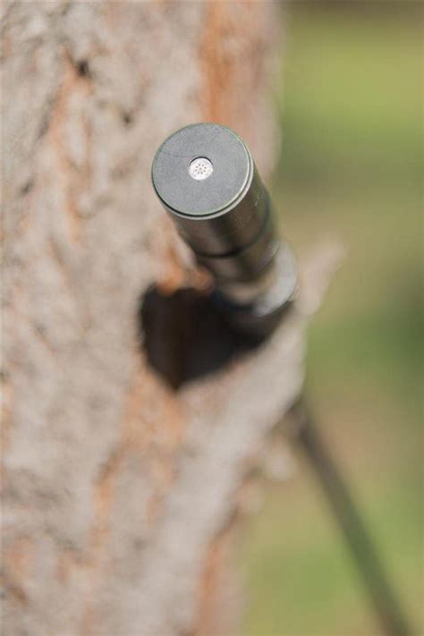 Anabat Express Bat Detector | NHBS Wildlife Conservation Shop