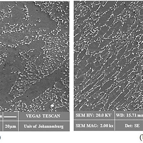 Sem Micrographs Of The Substrate A Surface B Cross Section