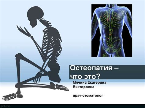 Остеопатия. Основные принципы остеопатии - презентация онлайн