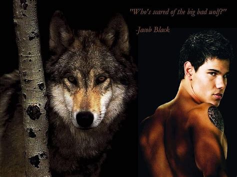 Jacob Black Wolf Drawing